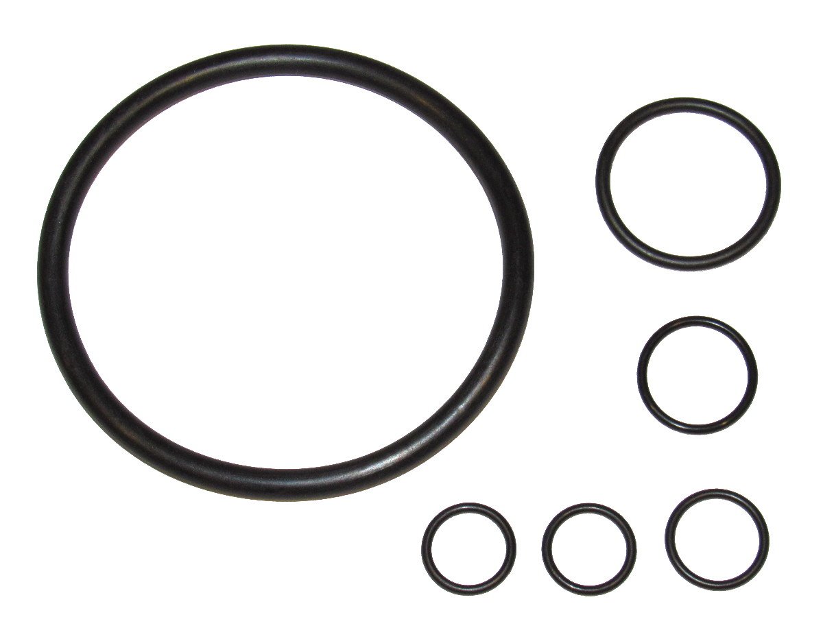 Fleck 5600 Rebuild Kit Captain O-Ring #13305 Replacement Set (4-Pack ...