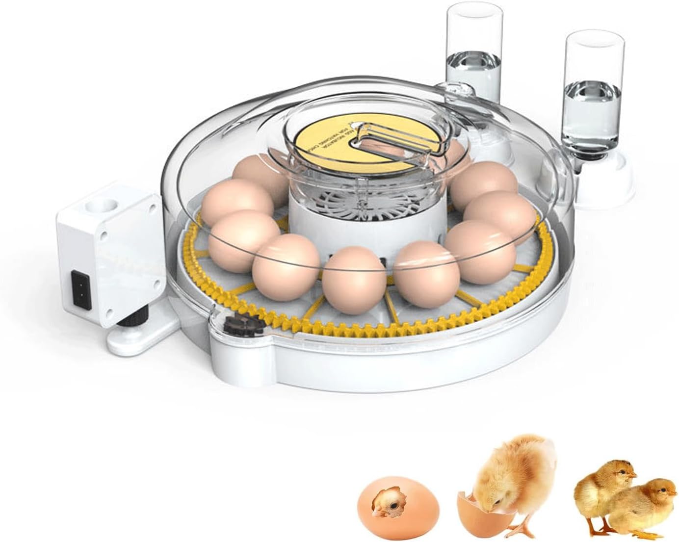 BOYVEN Incubator for Chicken Eggs, 12 Egg Incubator with Automatic Egg ...