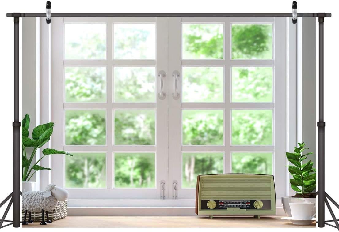 Amazon.com : LYWYGG 8x6FT Business Office Backdrops Sash Window ...