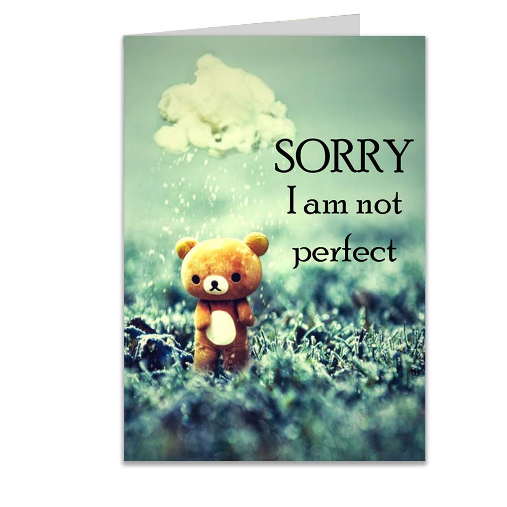 I Am Sorry I Am Not Perfect