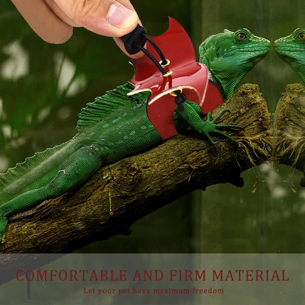 3 Set Adjustable Bearded Dragon Leash and Harnesses with Cool Bat Wings ...