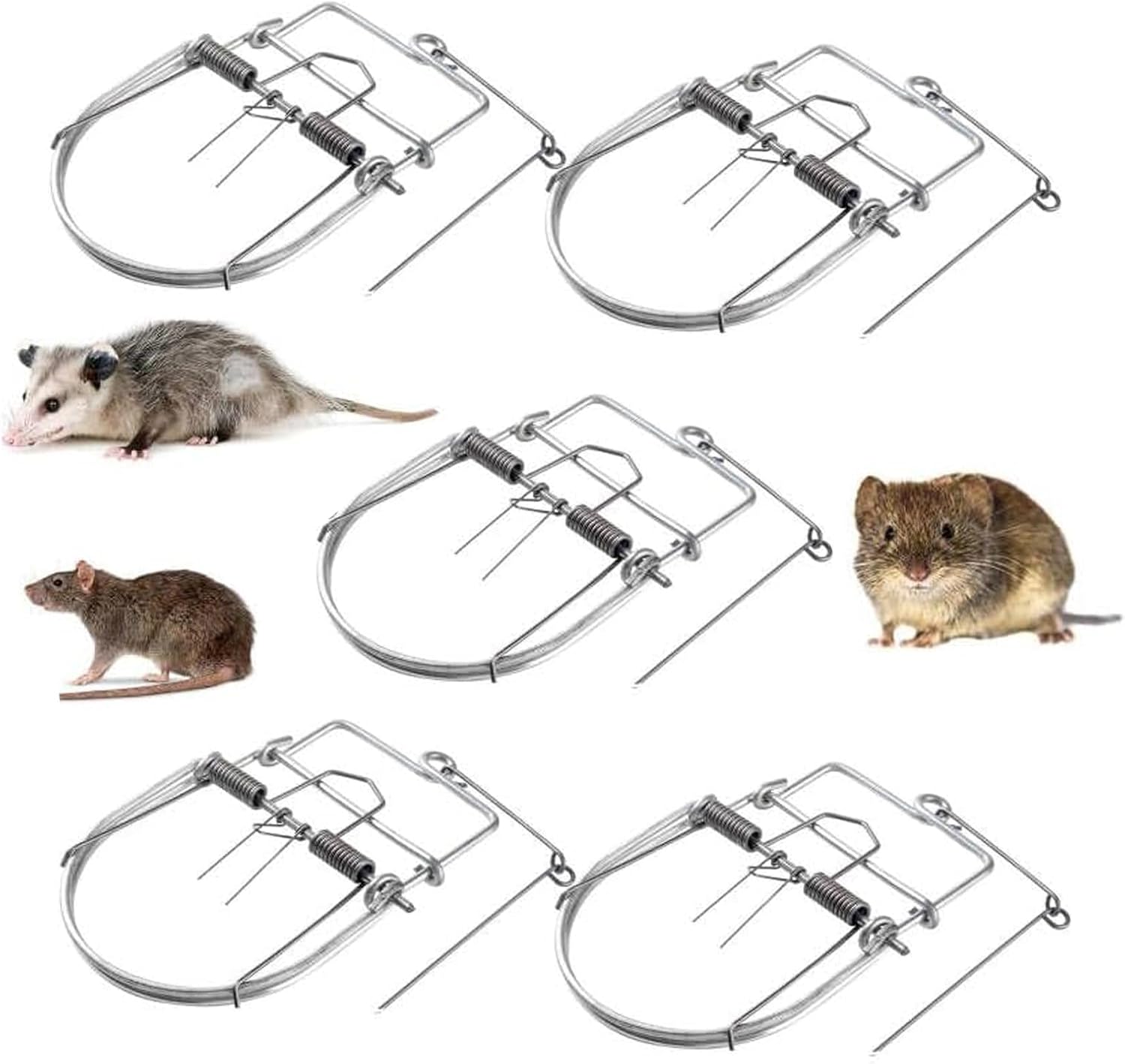 Amazon.com : Spring Trap Rodent Cage, 5 Pack, Reusable, Small Traps for ...