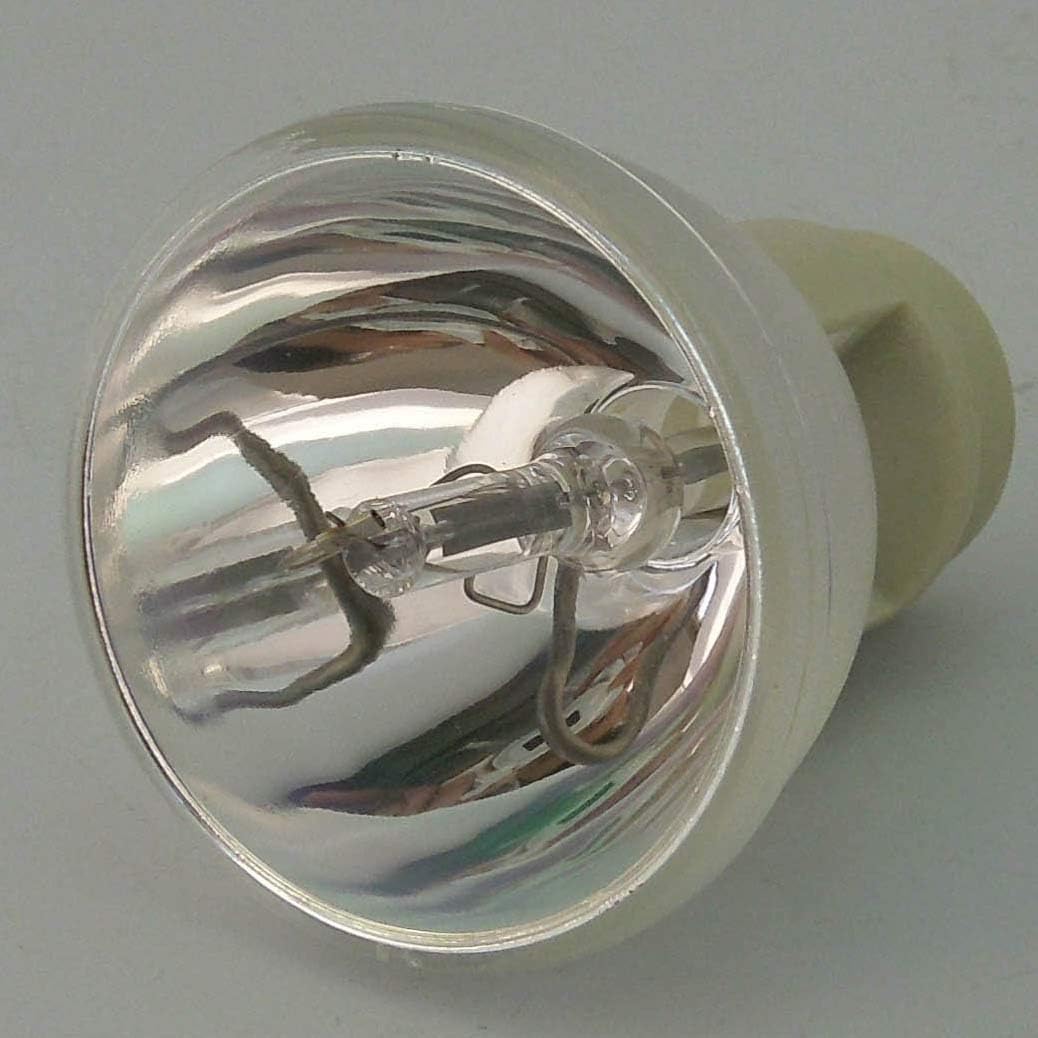 Amazon.com: Replacement Projector Lamp Without Housing Compatible with ...