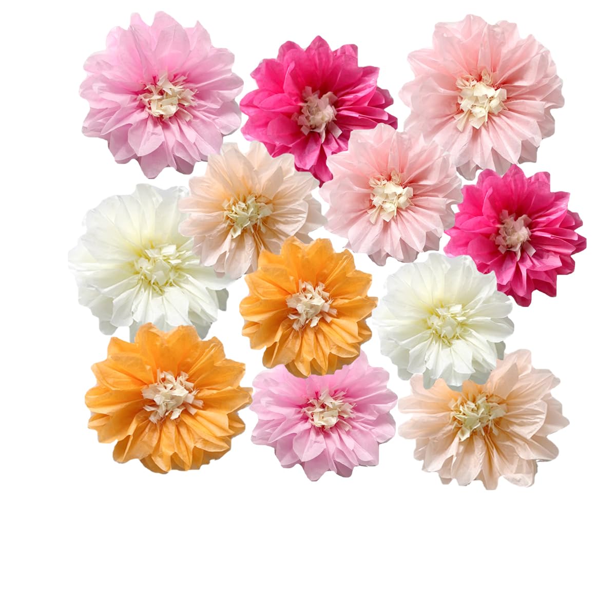 Amazon.com: 12pcs 8in 10in Paper Flowers Tissue Flowers Pom Paper Pom ...
