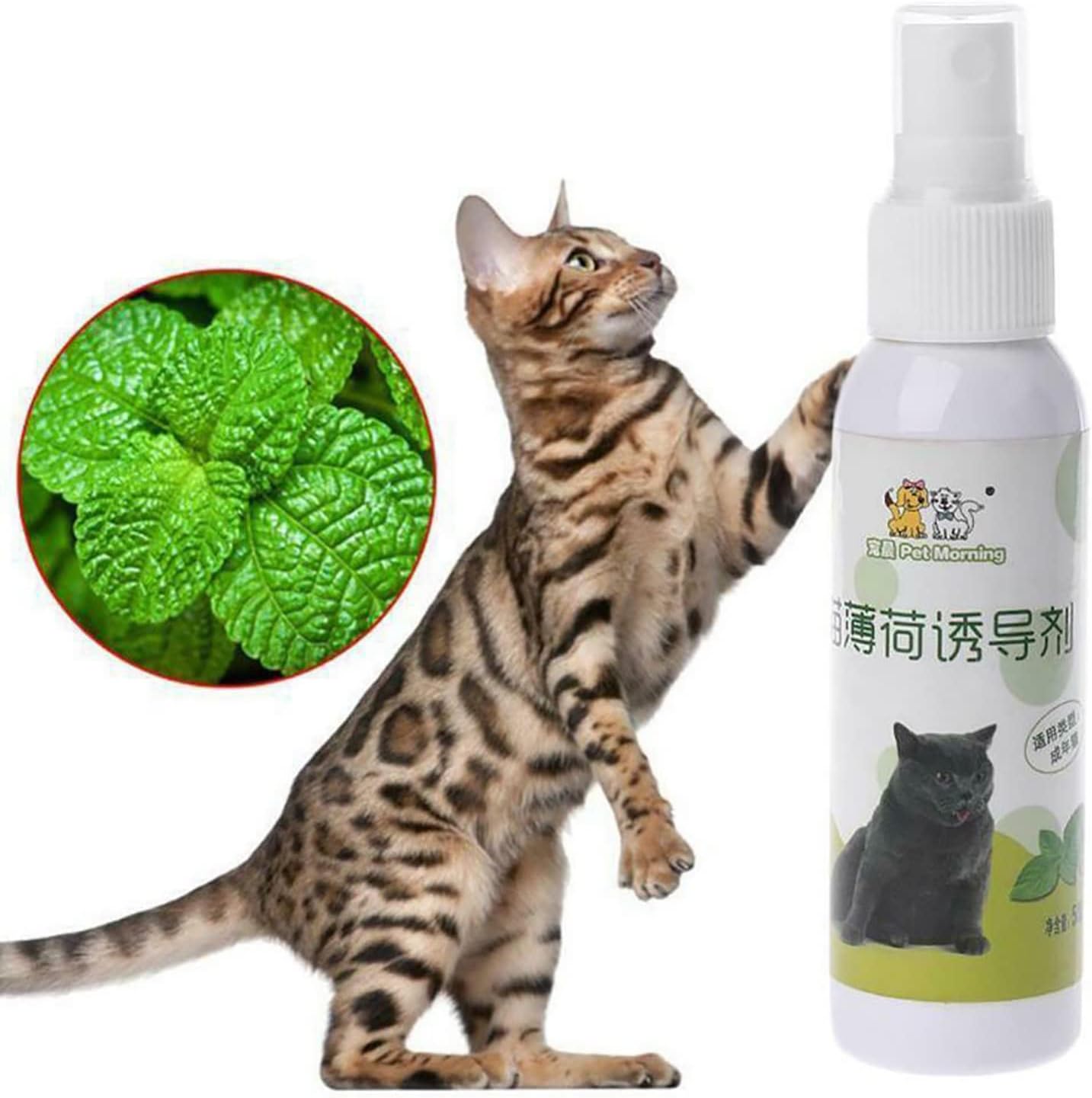 Herbal Catnip Spray 30ml Cat Toys and Scratch Posts Cat Nip Natural ...