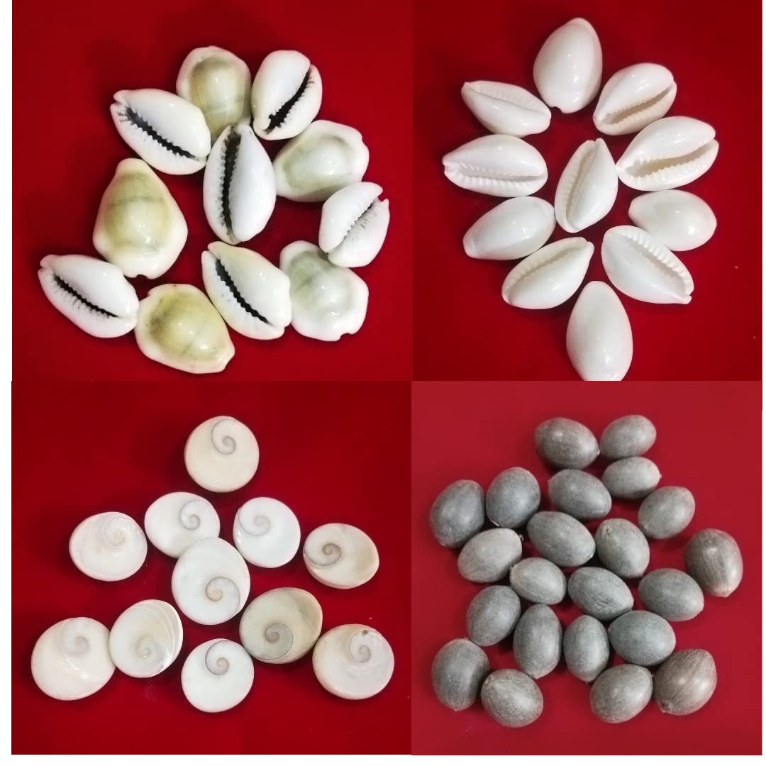 PujaSamadhaan Combo - White Kaudi, Yellow Kaudi, Kamal Gutta & Gomati ...