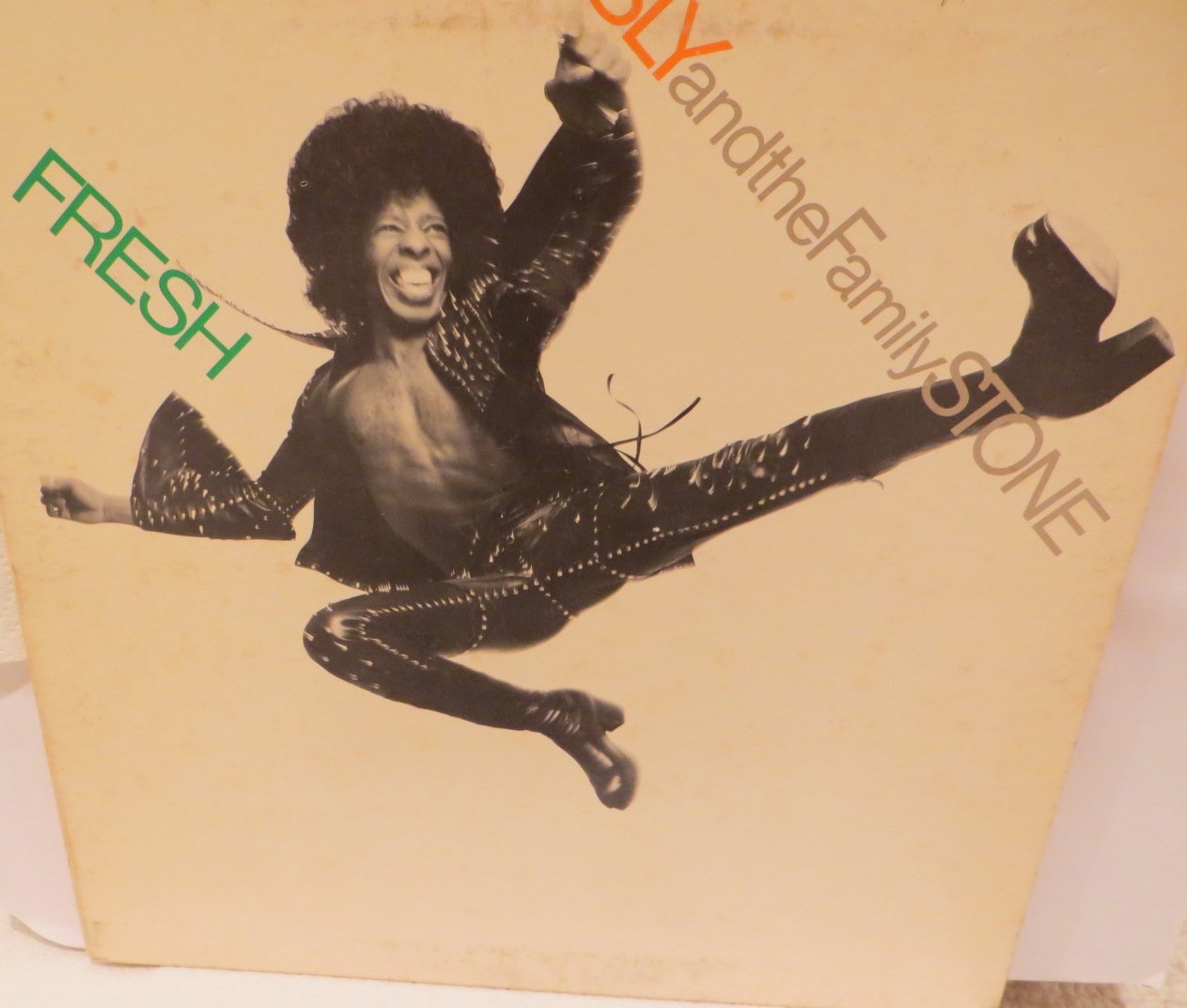 Sly and the Family Stone: Fresh: LP: unknown author: Amazon.com: Books