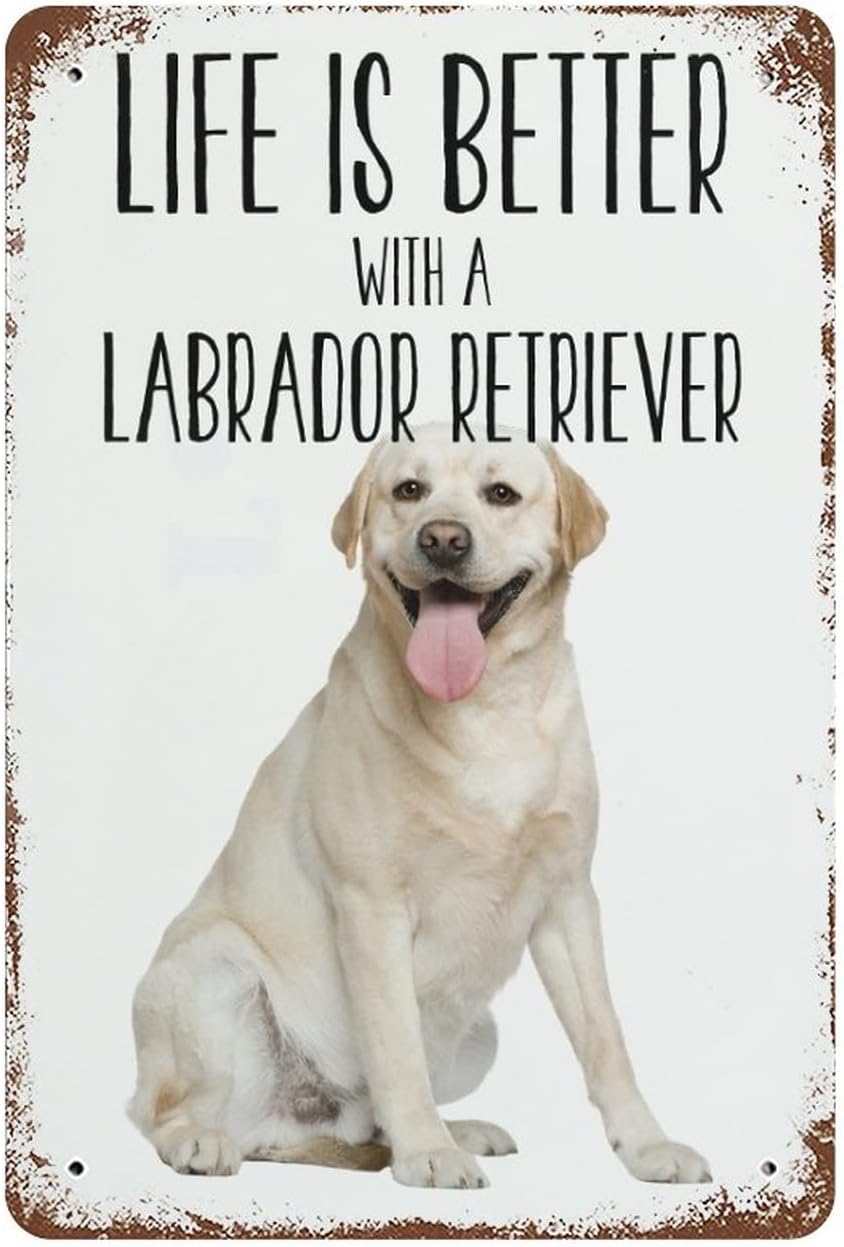 Amazon.com: Dog Tin Sign Life Is Better with A Labrador Retriever Metal ...