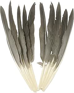 Amazon.com: 50pcs Grey Feathers 10~12 inches,Beautiful Bulk Long ...