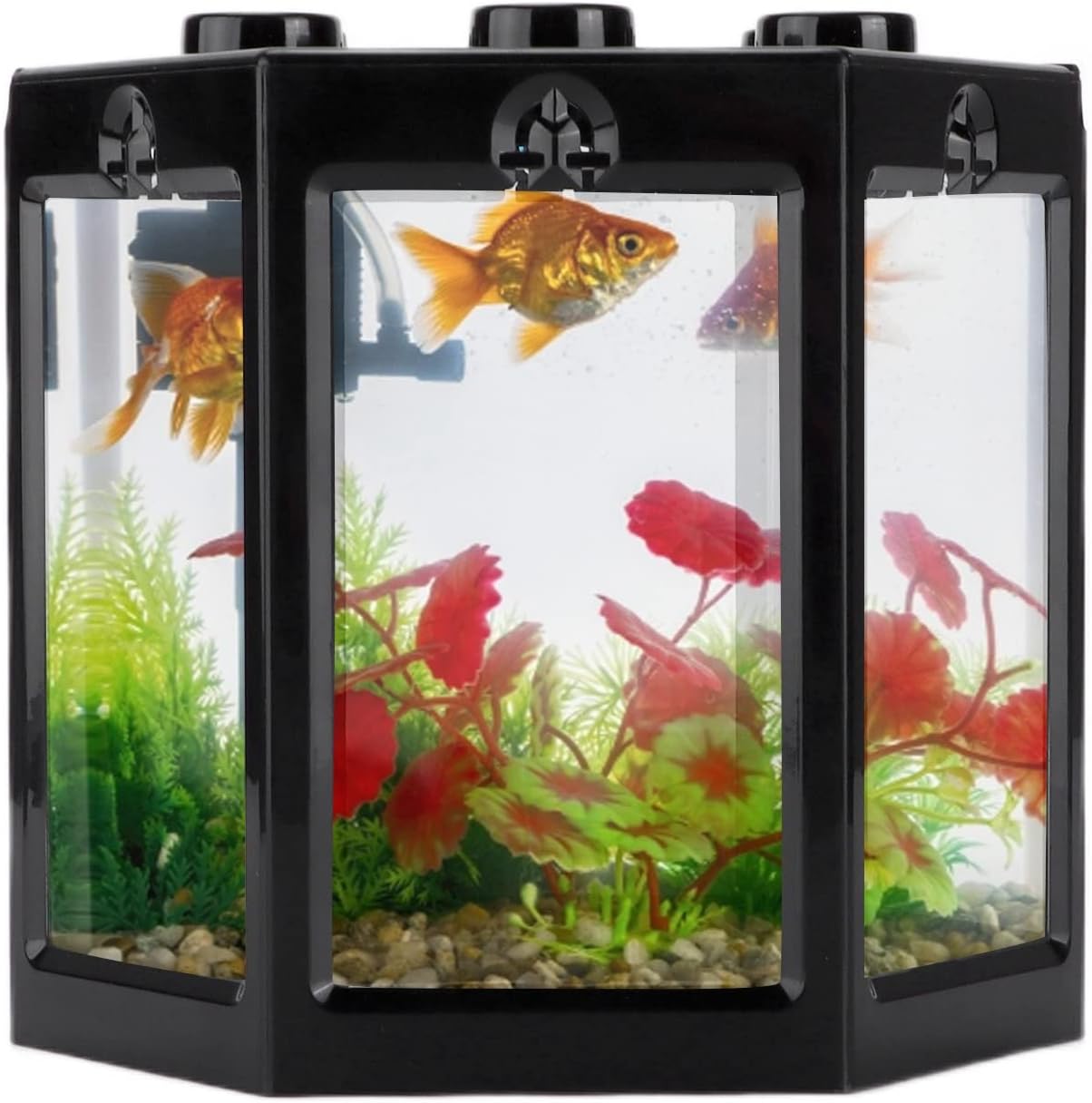 Amazon.com : Fish Tank Clear Goldfish Tank with Light Desktop Small ...