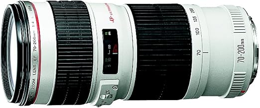 Amazon.com : Used Canon 70-200mm F4 L is USM Lens W/Lens Hood : Camera ...