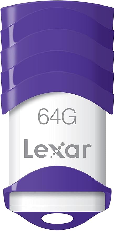 Amazon.com : Lexar JumpDrive V30 64GB USB 2.0 Flash Drive - Purple ...