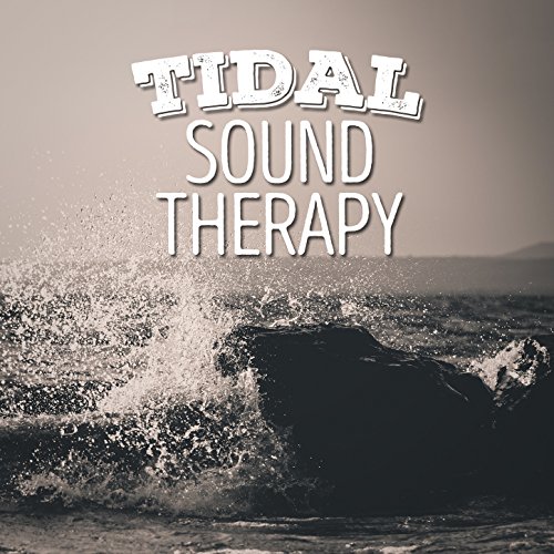Amazon.com: Tidal Sound Therapy : Ocean Beach Waves: Digital Music