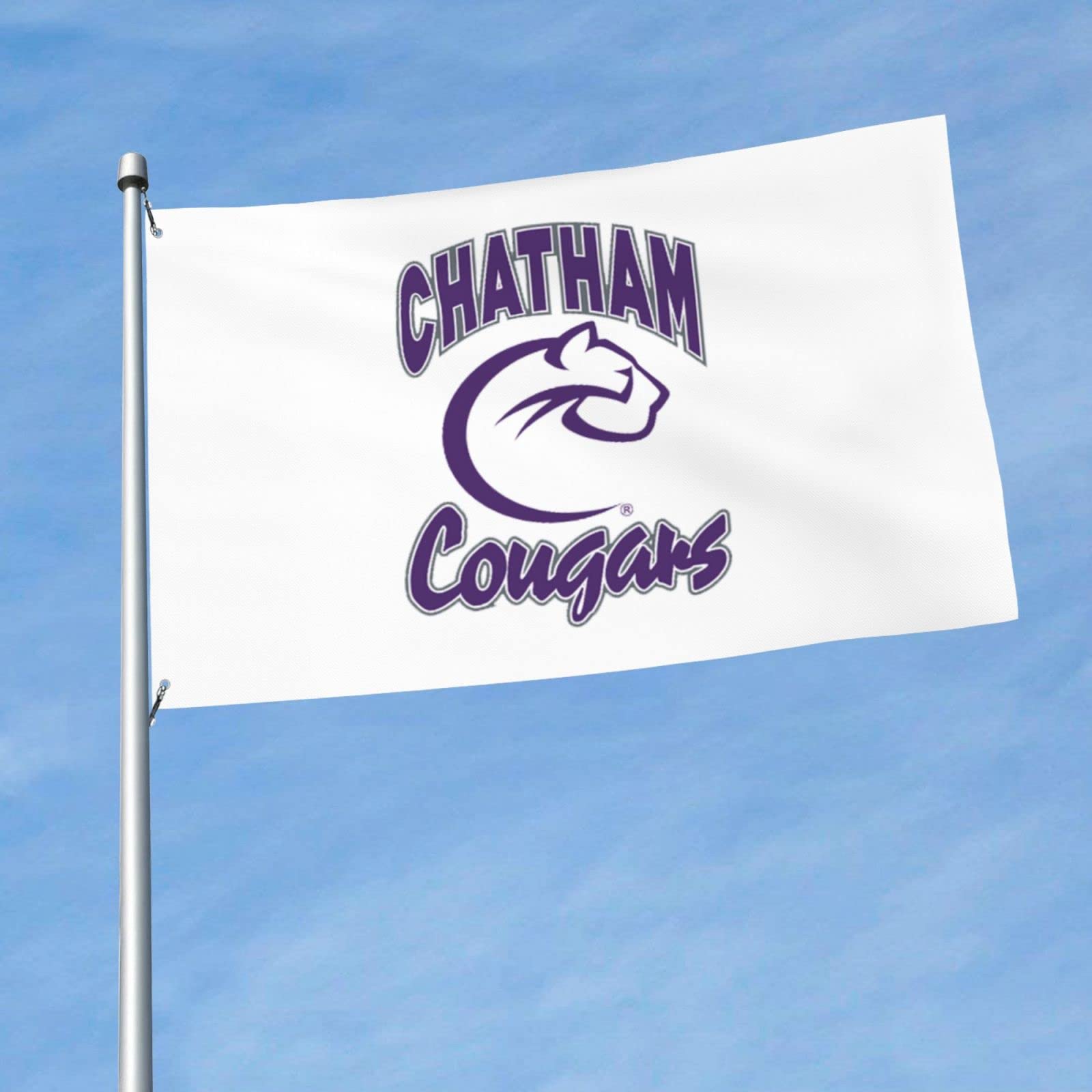 Chatham University Logo