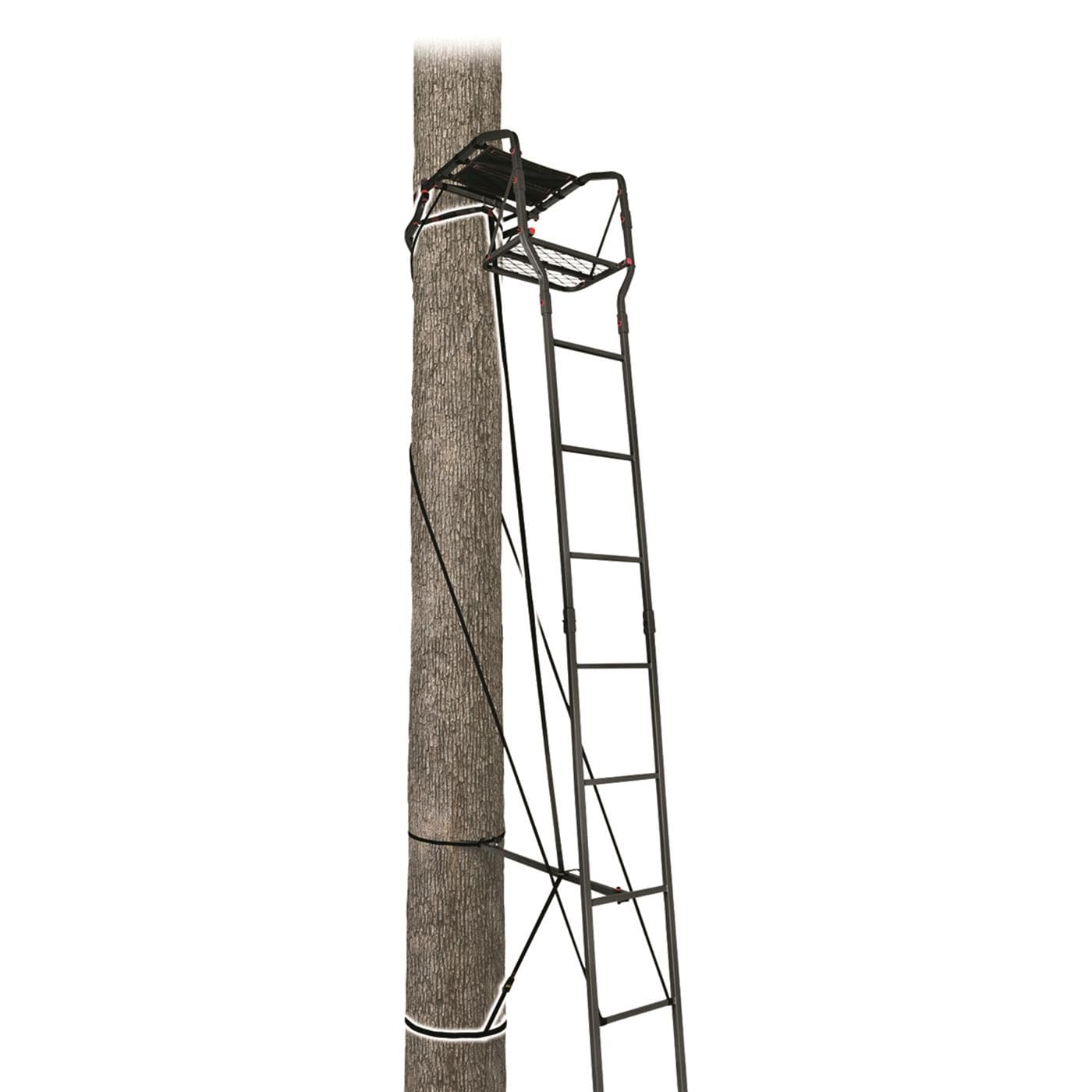 Amazon.com : Guide Gear 15’ Single Shot Single Person Ladder Tree Stand ...