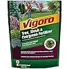 Amazon.com : 3.5 lb. Tree, Shrub and Evergreen Plant Food-Vigoro-124260 ...