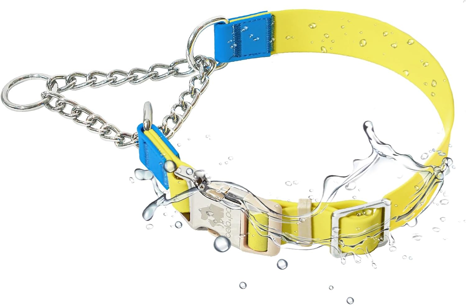 Amazon.com : BELLA & PAL Martingale Dog Collar, Waterproof Collar for ...