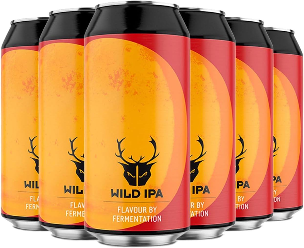 Wild Beer Co.Wild IPA 5.2% | English Wild IPA | 6 x 440ml Cans : Amazon ...
