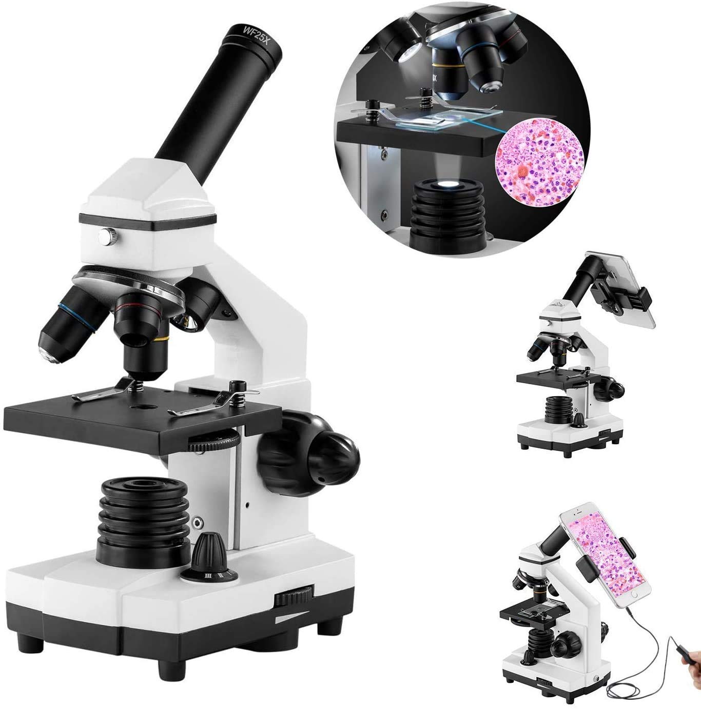 Buy Monocular micro for students and children 200-2000x magnification ...