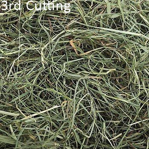 Small Pet Select Sampler Box: Orchard Hay, 1st Cutting, 2nd Cutting ...
