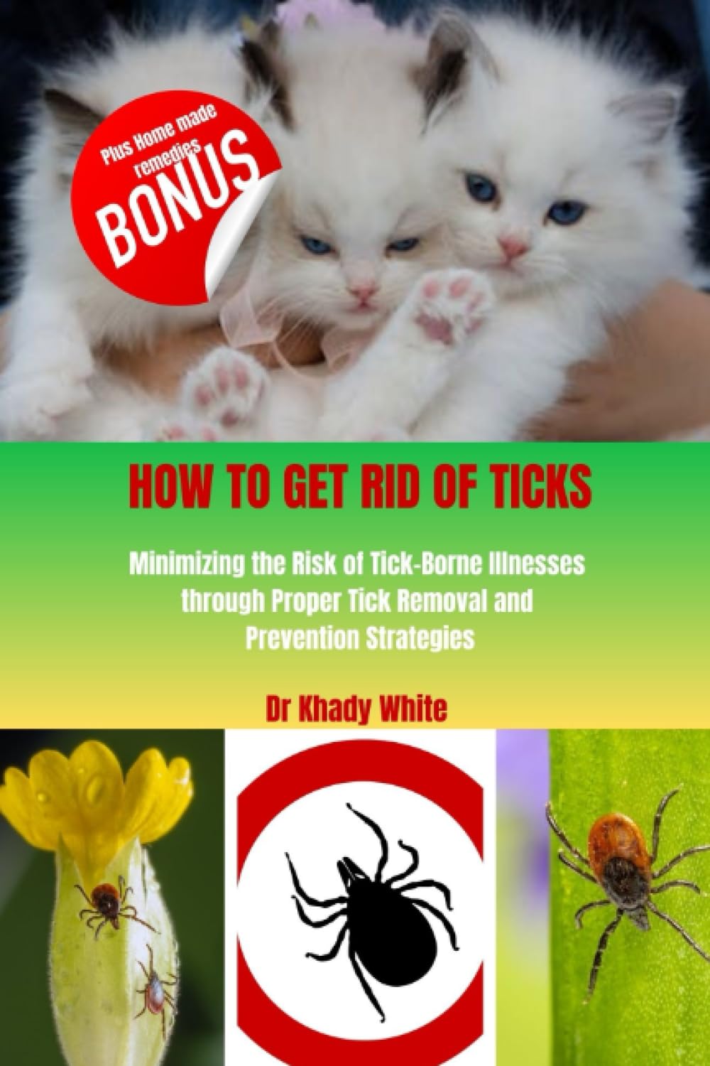 Amazon.com: HOW TO GET RID OF TICKS: Minimizing the Risk of Tick-Borne ...