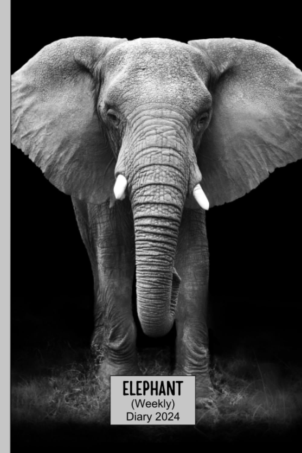 Elephant Weekly Diary 2024: This Yearly Planner and Calendar has each ...