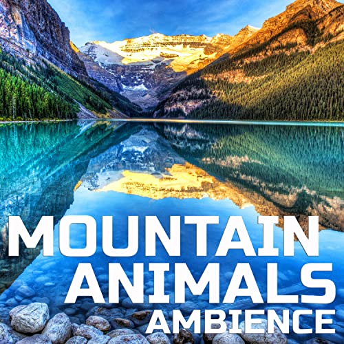Amazon Music Unlimited - Animal Planet FX, Mountain Animals Soundscapes ...