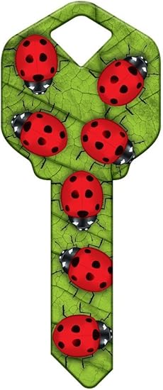 Set of 5 Uncut Blank Designer SC51 Lady Bugs Replacement House Keys for ...