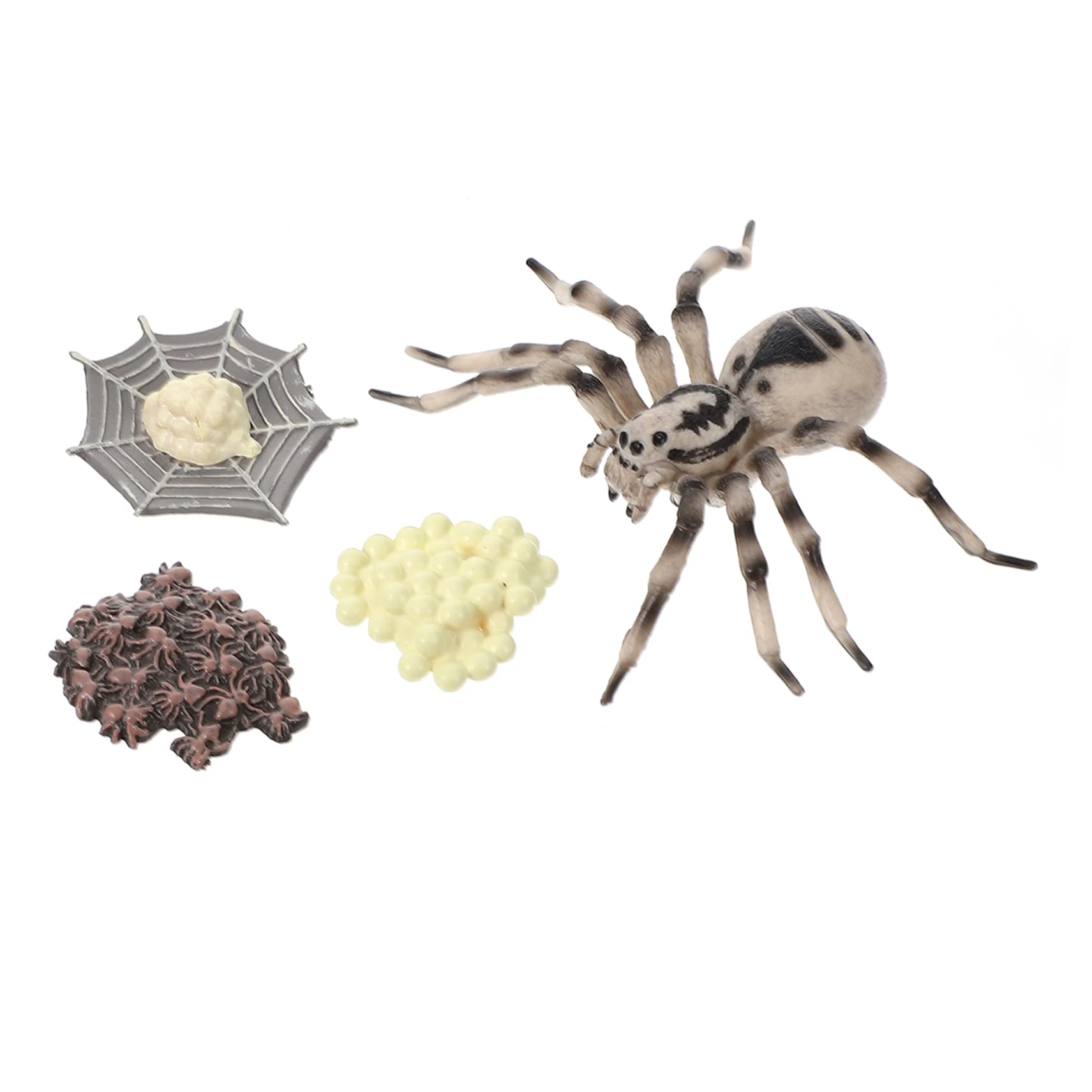 Buy UPKOCH 1 Set Cognitive Model of Life Tarantula Miniature Model ...