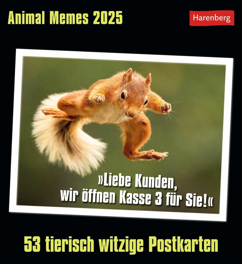 Animal Memes Postcard Calendar 2025 – 53 Animal Funny Postcards: Funny ...