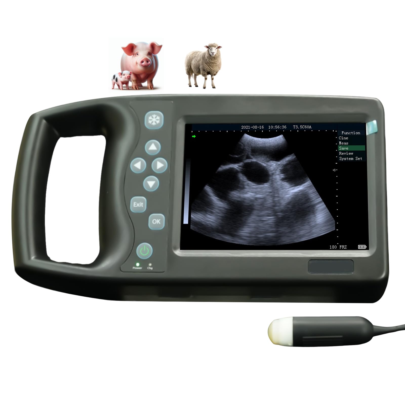 Amazon.com: M6 Portable Veterinary Ultrasound Scanner 5.7" LED Display ...