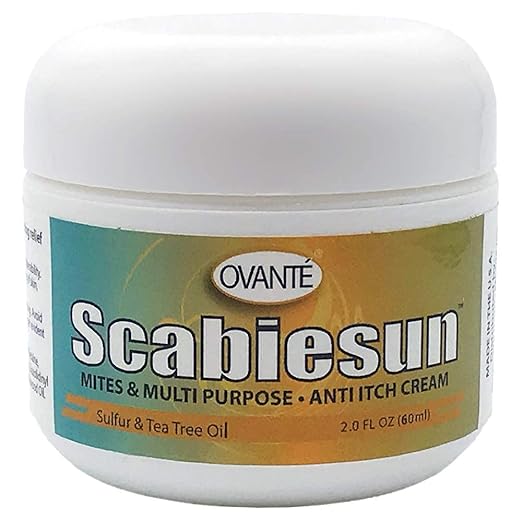 Amazon.com : Scabiesun Multipurpose Cream for Skin Itching, Rushes ...