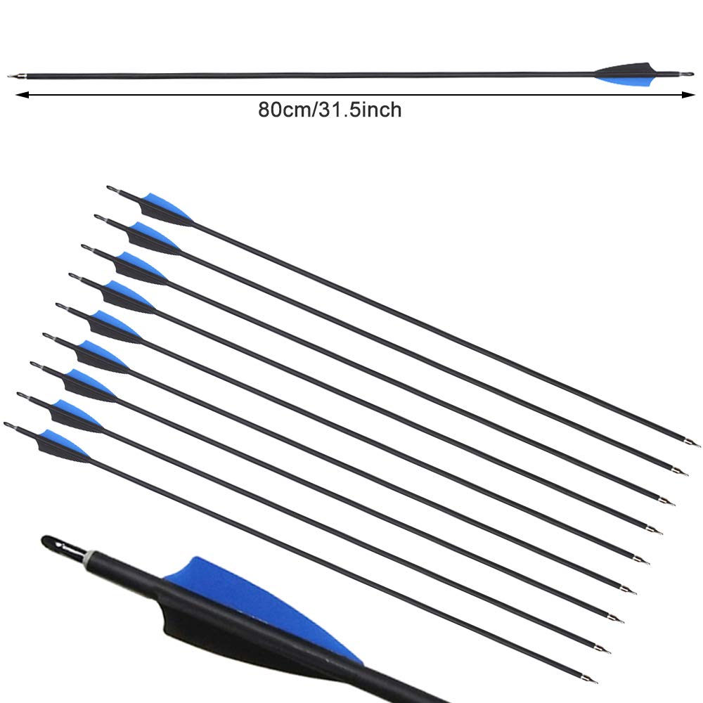 SHARROW 12Pcs Flèche De Carbone Spine 500 Flèche Carbone 32" Flèche Arc ...