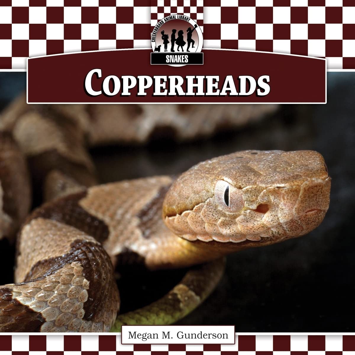 Copperheads (Snakes): Gunderson, Megan M.: 9781616134341: Amazon.com: Books