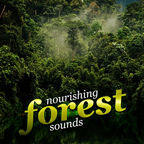 Amazon.com: Nourishing Forest Sounds : Forest Sounds: Digital Music