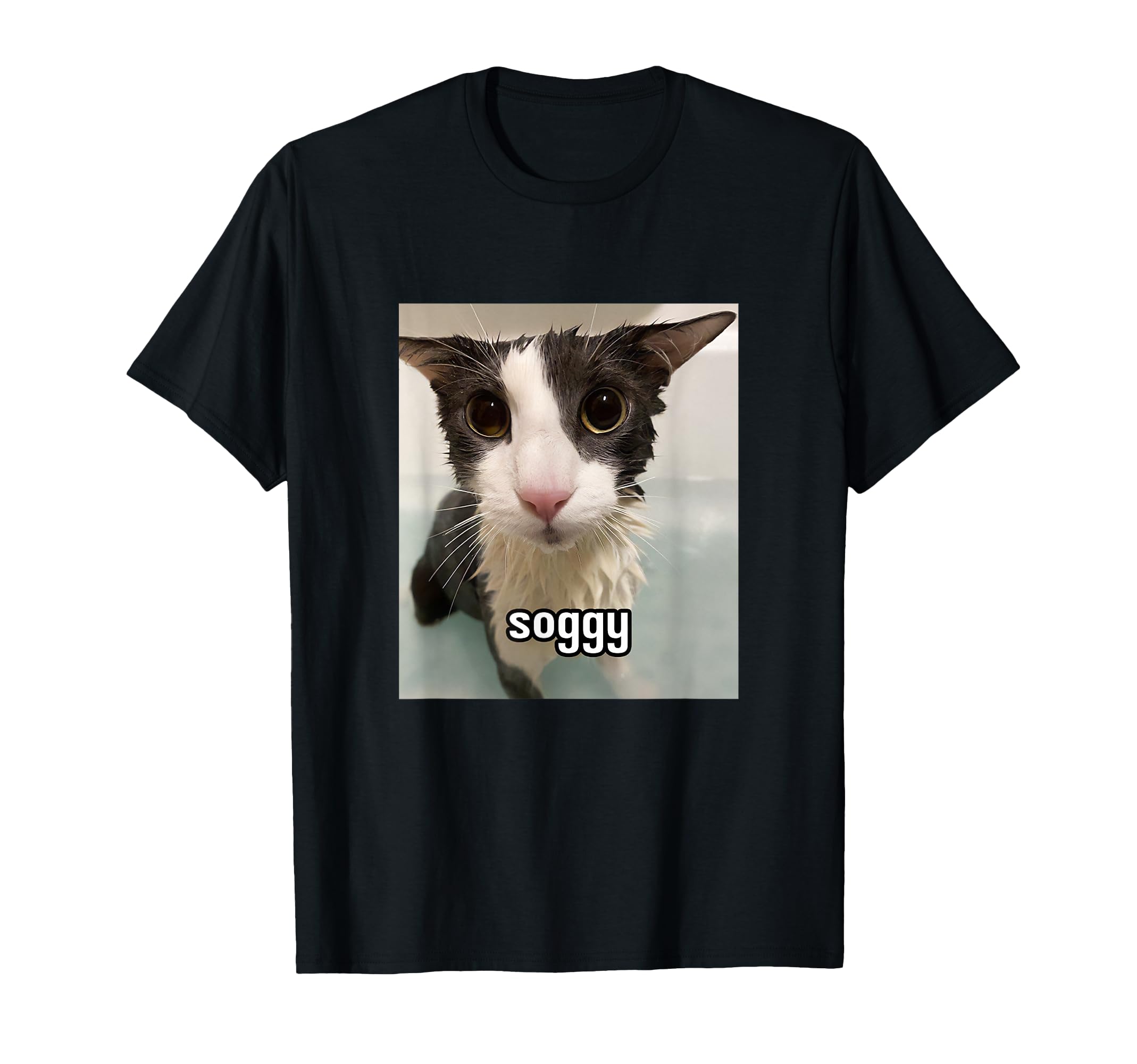 Amazon.com: Silly Soggy Cat Meme T-Shirt : Clothing, Shoes & Jewelry