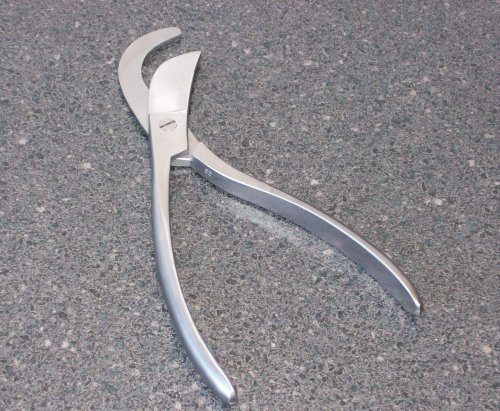 Amazon.com: Collin Rib Shears : Industrial & Scientific