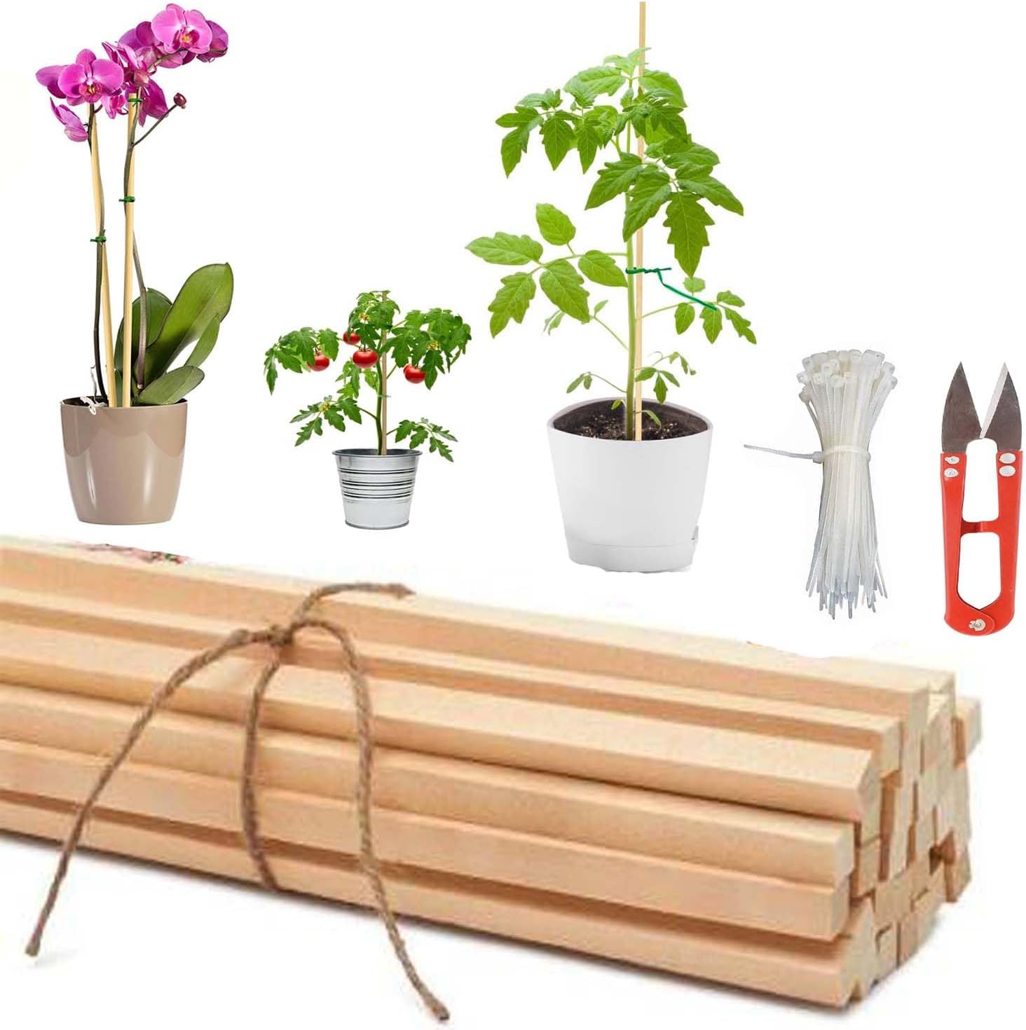 SAI PRASEEDA 4 Feet Length Wooden Sticks Plant Supporters_Garden Plant ...