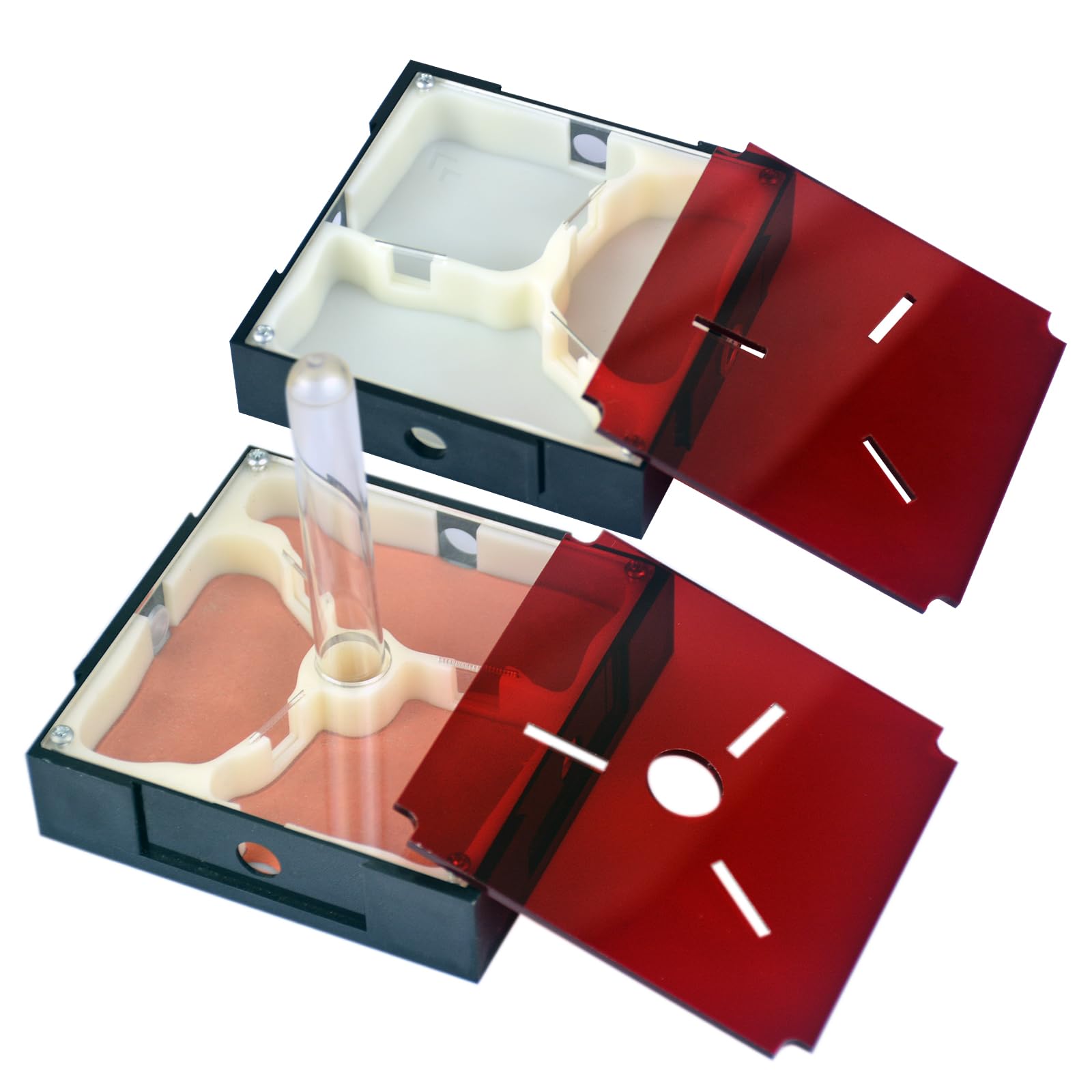 Ant Farm Nest Kit Replacement With Connecting System For Unlimited ...