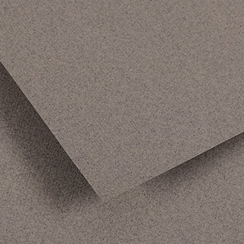 Canson Ingres Drawing Sheets, 19.5"X25.5" Steel Gray (25 Sheets ...
