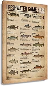 Amazon.com: Freshwater Game Fish Knowledge Poster Vintage Animal ...