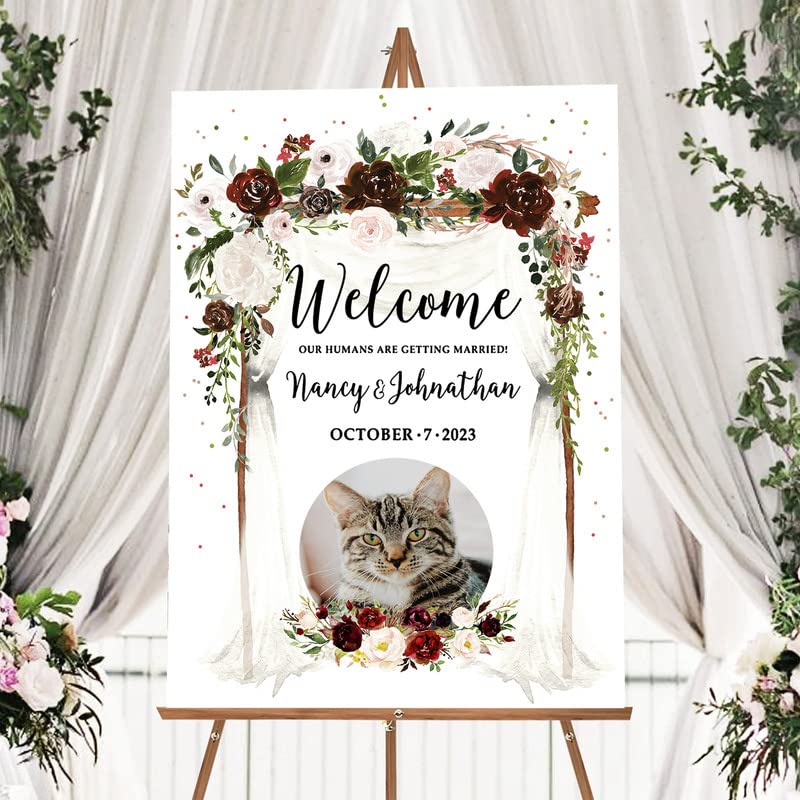 Real Cats Getting Married