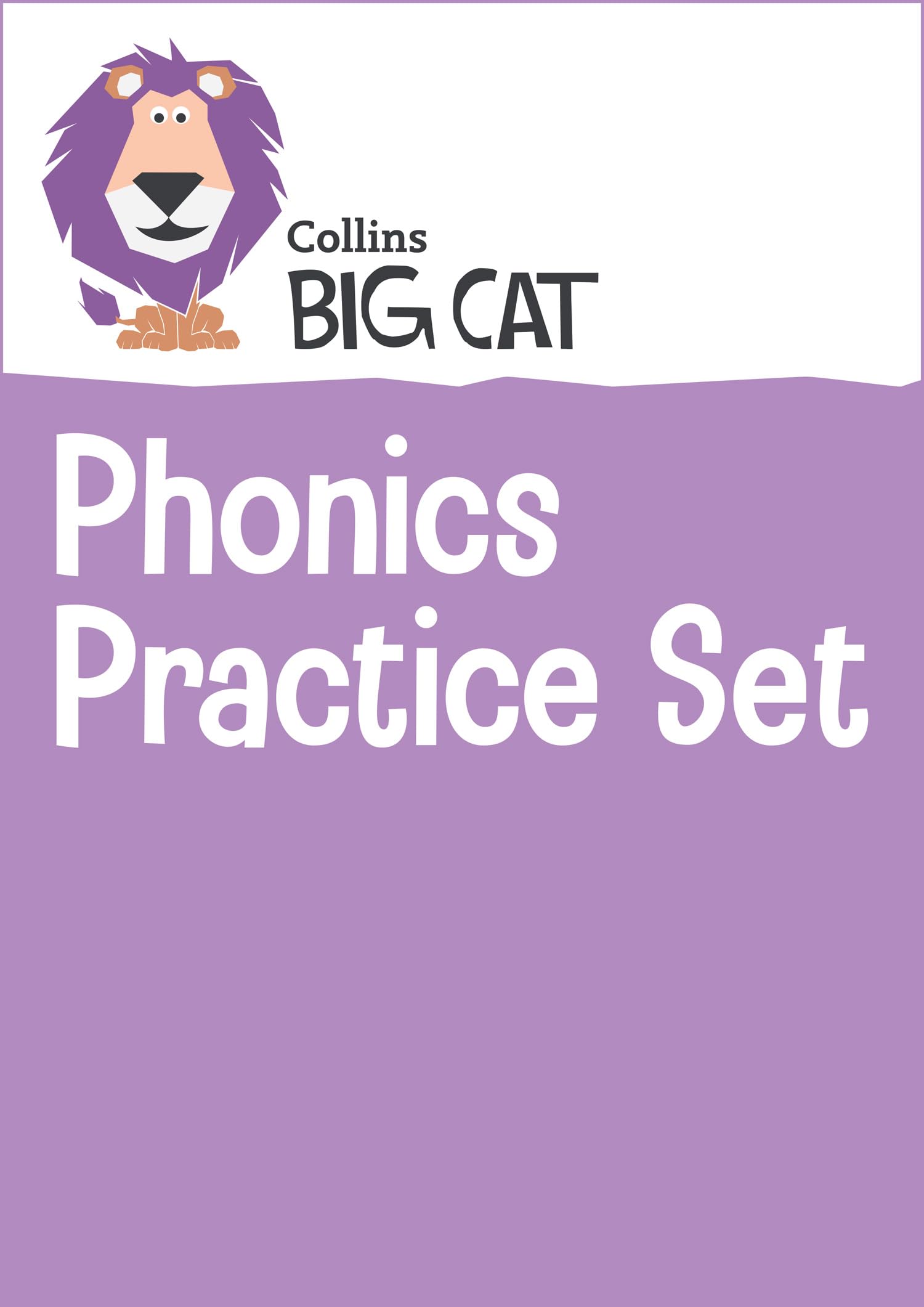 Phonics Practice Set (Collins Big Cat Sets): Amazon.co.uk: Collins Big ...