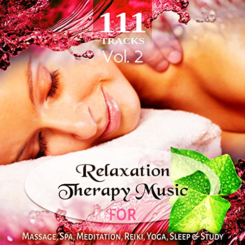 Play 111 Tracks VOL. 2: Over Five Hours Relaxation Therapy Music for ...
