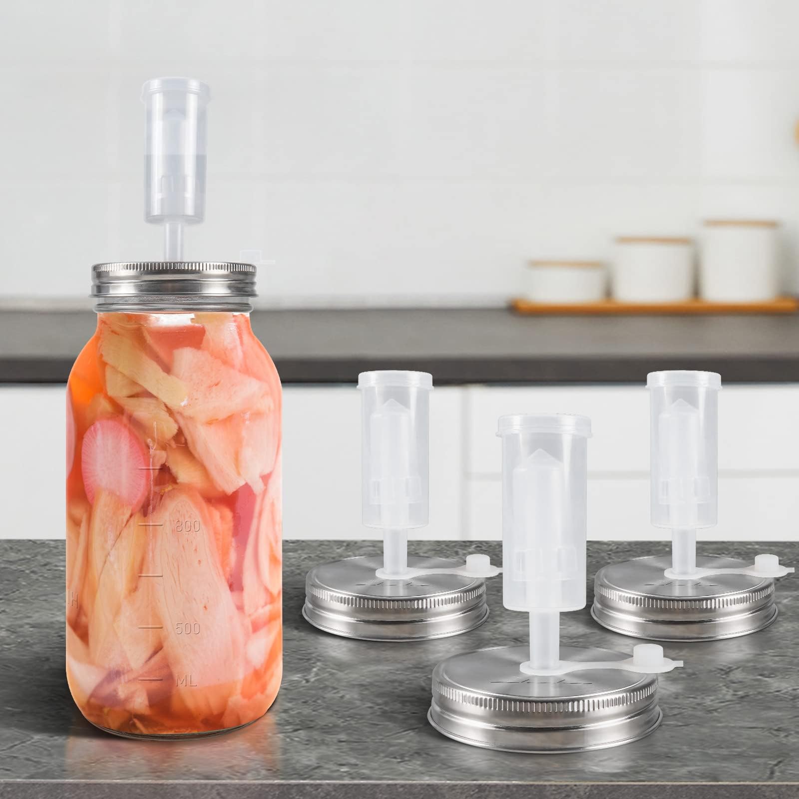 Amazon.com: Jillmo Fermentation Kit, Stainless Steel Fermenting Kit for ...