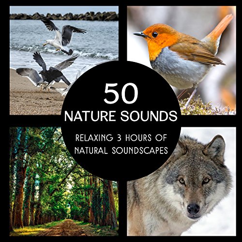 Amazon.com: 50 Nature Sounds – Relaxing 3 Hours of Natural Soundscapes ...