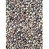 Kantola seeds, PARORA SEEDS - PACK OF 2 (50+SEEDS) Momordica dioica ...
