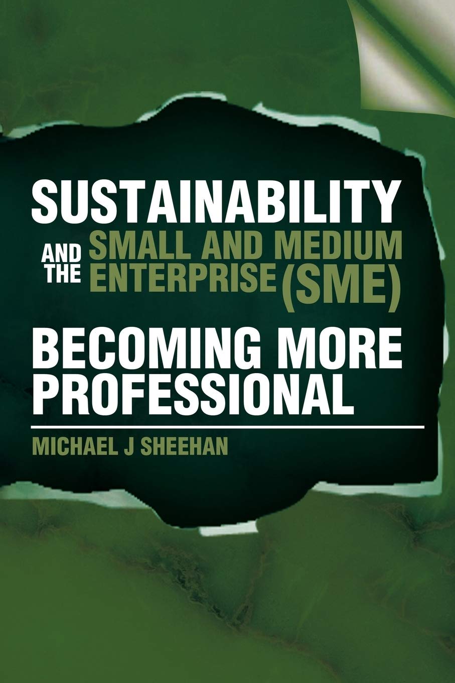 Sustainability and the Small and Medium Enterprise (SME): Becoming More ...