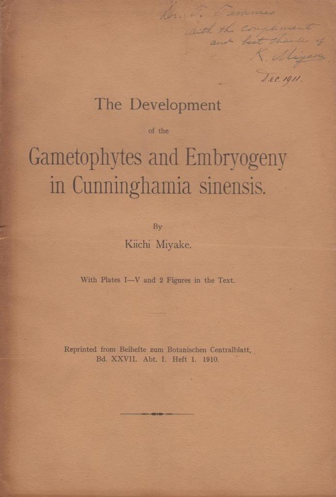 The Development of the Gametophytes and Embryologeny in Cunninghamia ...