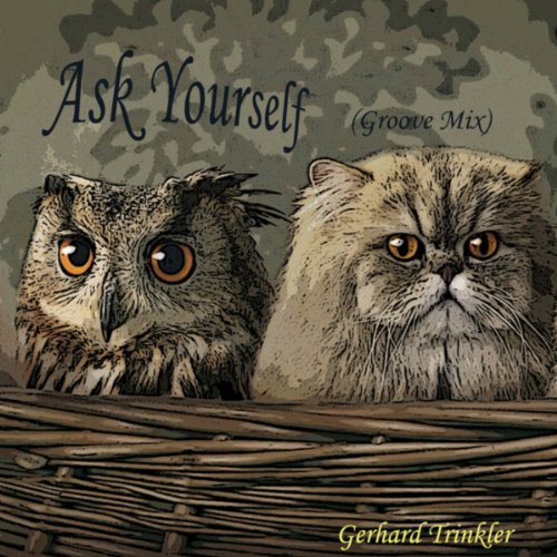 Amazon.co.jp: Ask Yourself (Groove Mix) : Gerhard Trinkler: Digital Music